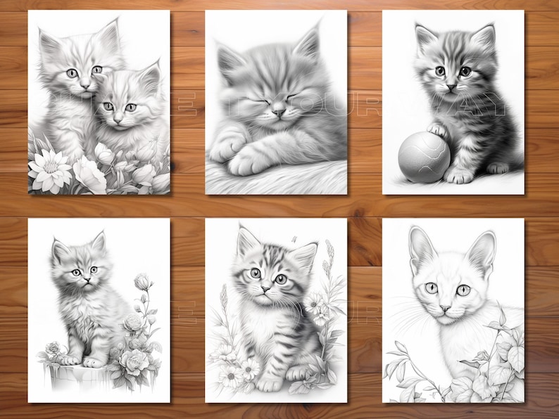 30 Little Cattitude Coloring Page Book Adults Kids - Etsy Canada