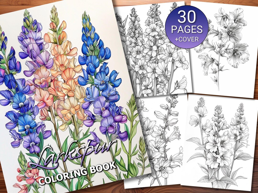 30 Larkspur Coloring Page Book - Adults + Kids - Instant Download ...