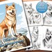30 Shiba Shenanigans Coloring Page Book - Adults + Kids - Instant ...