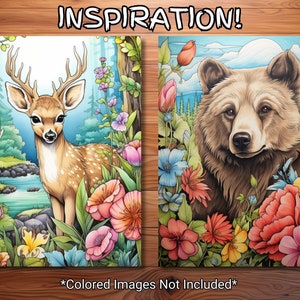 30 Wildlife Adventures Coloring Page Book - Adults + Kids - Instant ...