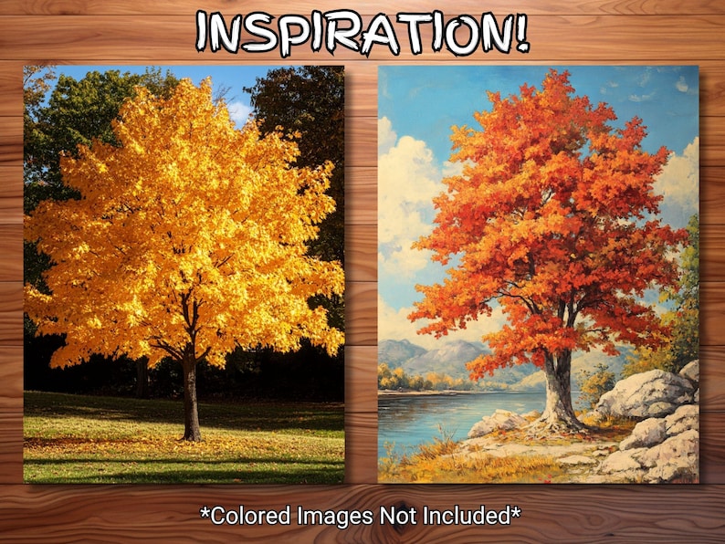 30 Maple Trees Coloring Page Book - Adults + Kids - Instant Download ...