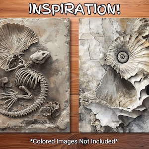 30 Fossils Coloring Page Book - Adults + Kids - Instant Download ...