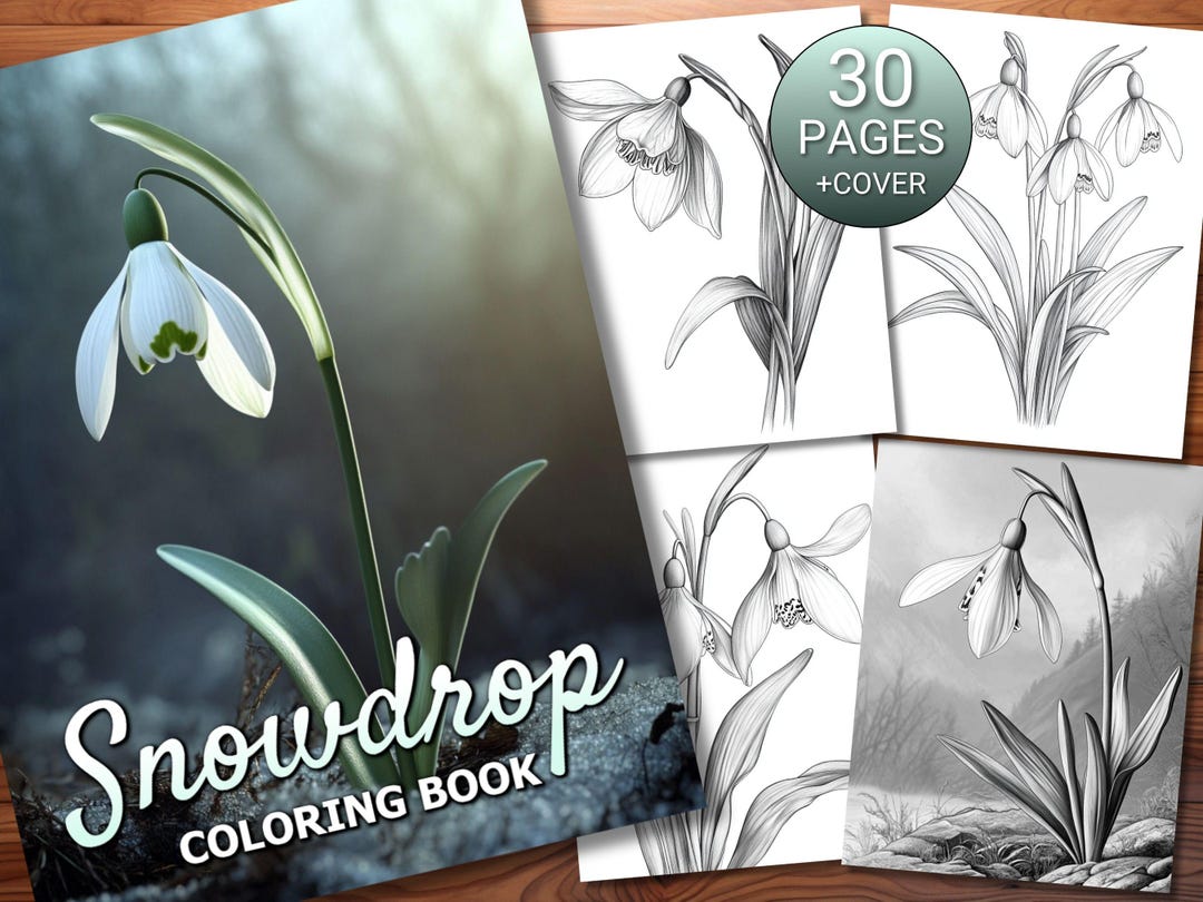 30 Snowdrop Coloring Page Book - Adults + Kids - Instant Download ...