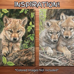30 Wolf Pups Coloring Page Book - Adults + Kids - Instant Download ...