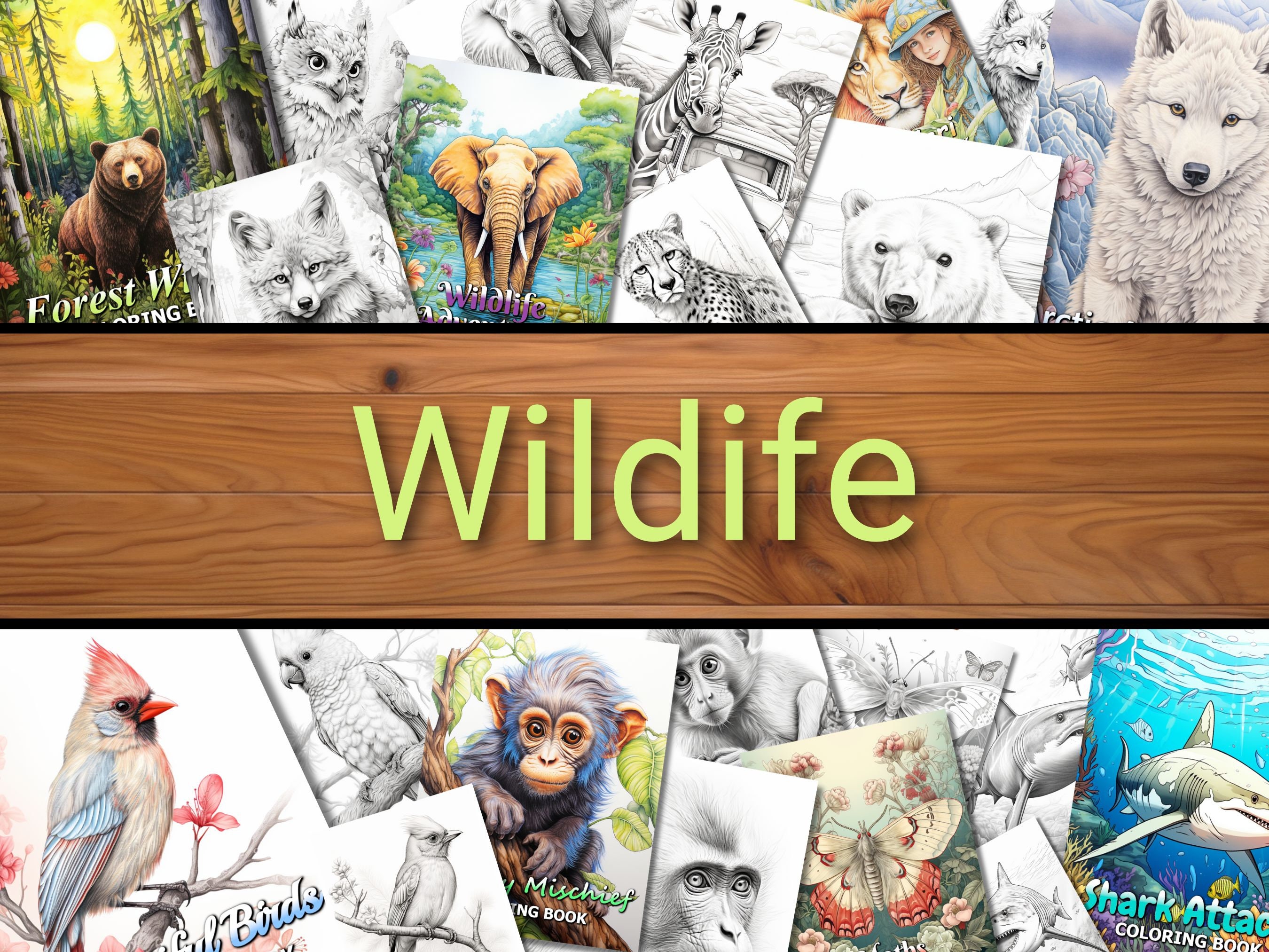 Whole Shop Coloring Page Book Bundle - Adults + Kids - Instant Download ...