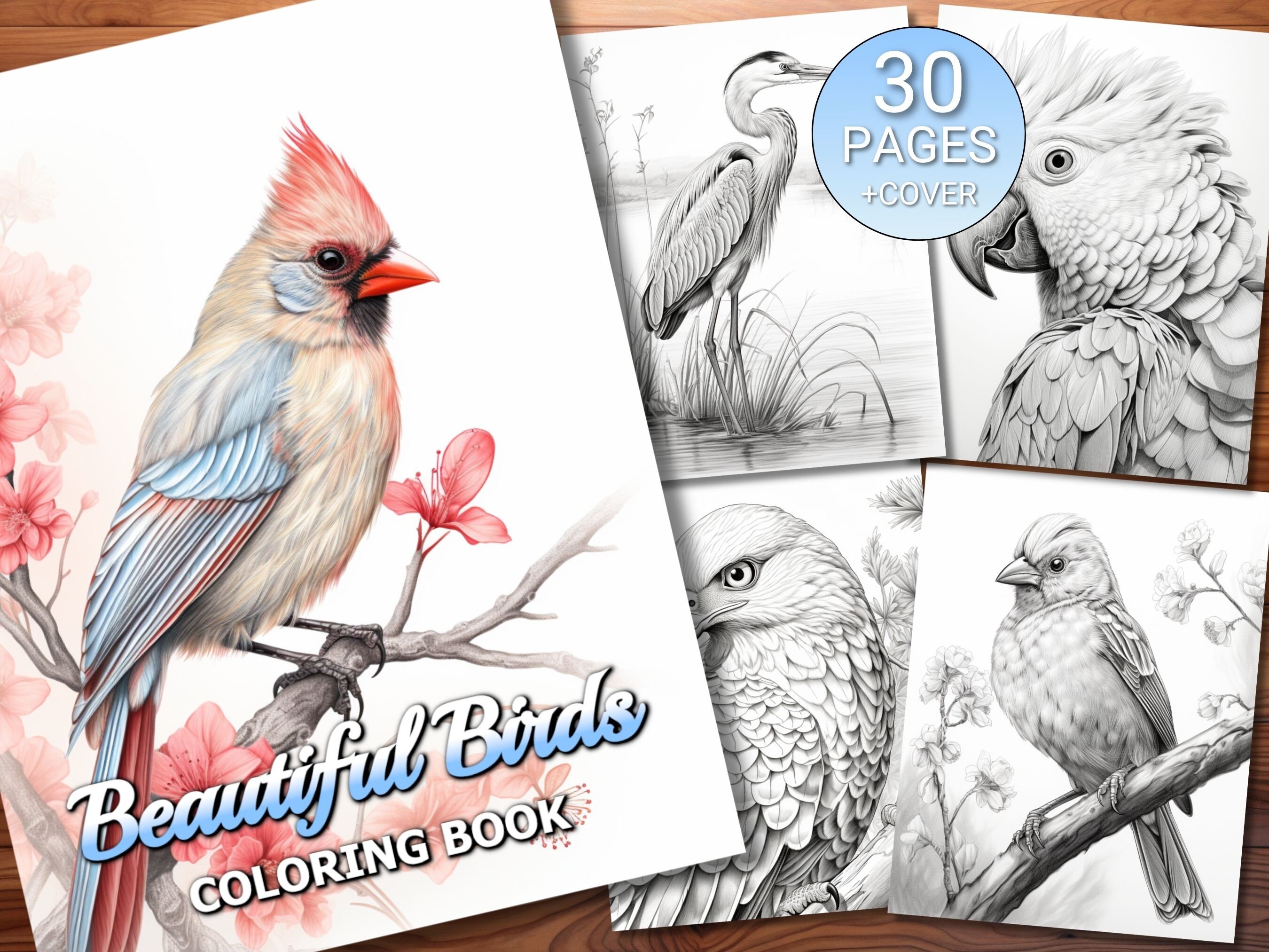 30 Beautiful Birds Coloring Page Book Adults Kids Instant Download ...