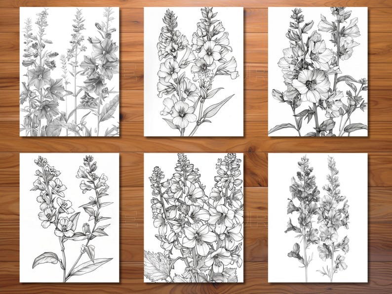 30 Larkspur Coloring Page Book - Adults + Kids - Instant Download ...