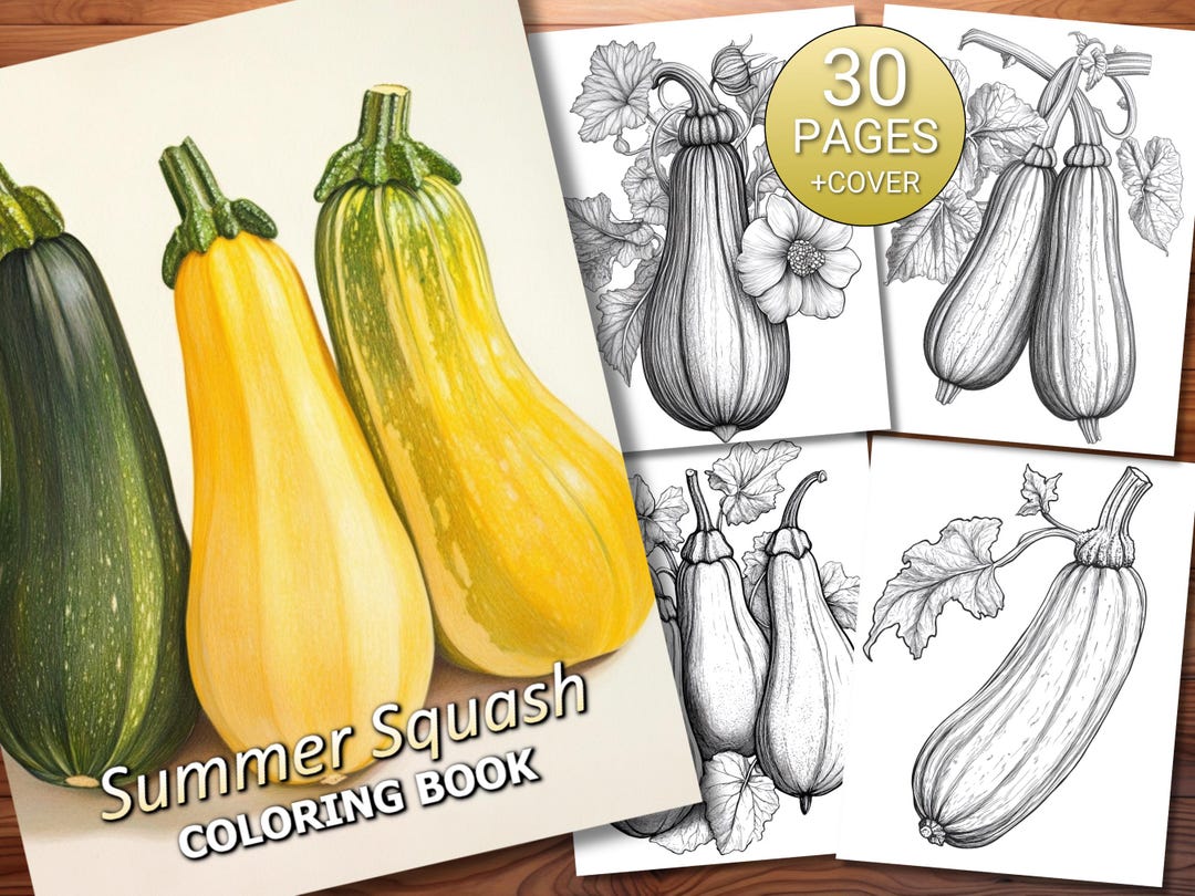 30 Summer Squash Coloring Page Book - Adults + Kids - Instant Download ...