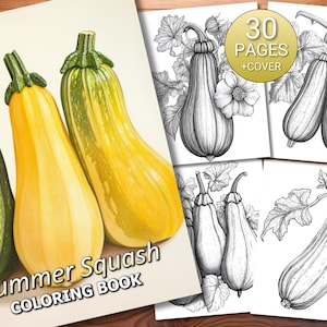 30 Summer Squash Coloring Page Book - Adults + Kids - Instant Download ...