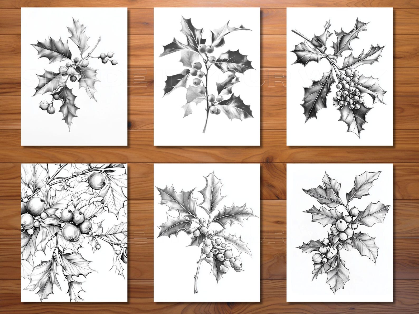 30 Holly Coloring Page Book - Adults + Kids - Instant Download ...