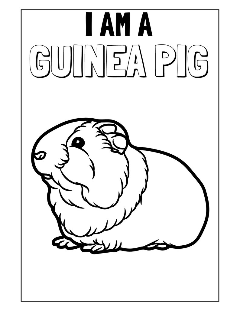 Baby Animal Coloring Pages With Names, Learning Animals, Coloring Pages ...