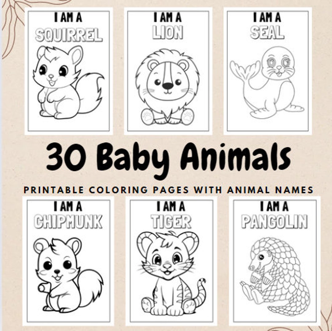 Baby Animal Coloring Pages With Names, Learning Animals, Coloring Pages ...