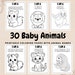 Baby Animal Coloring Pages With Names, Learning Animals, Coloring Pages ...