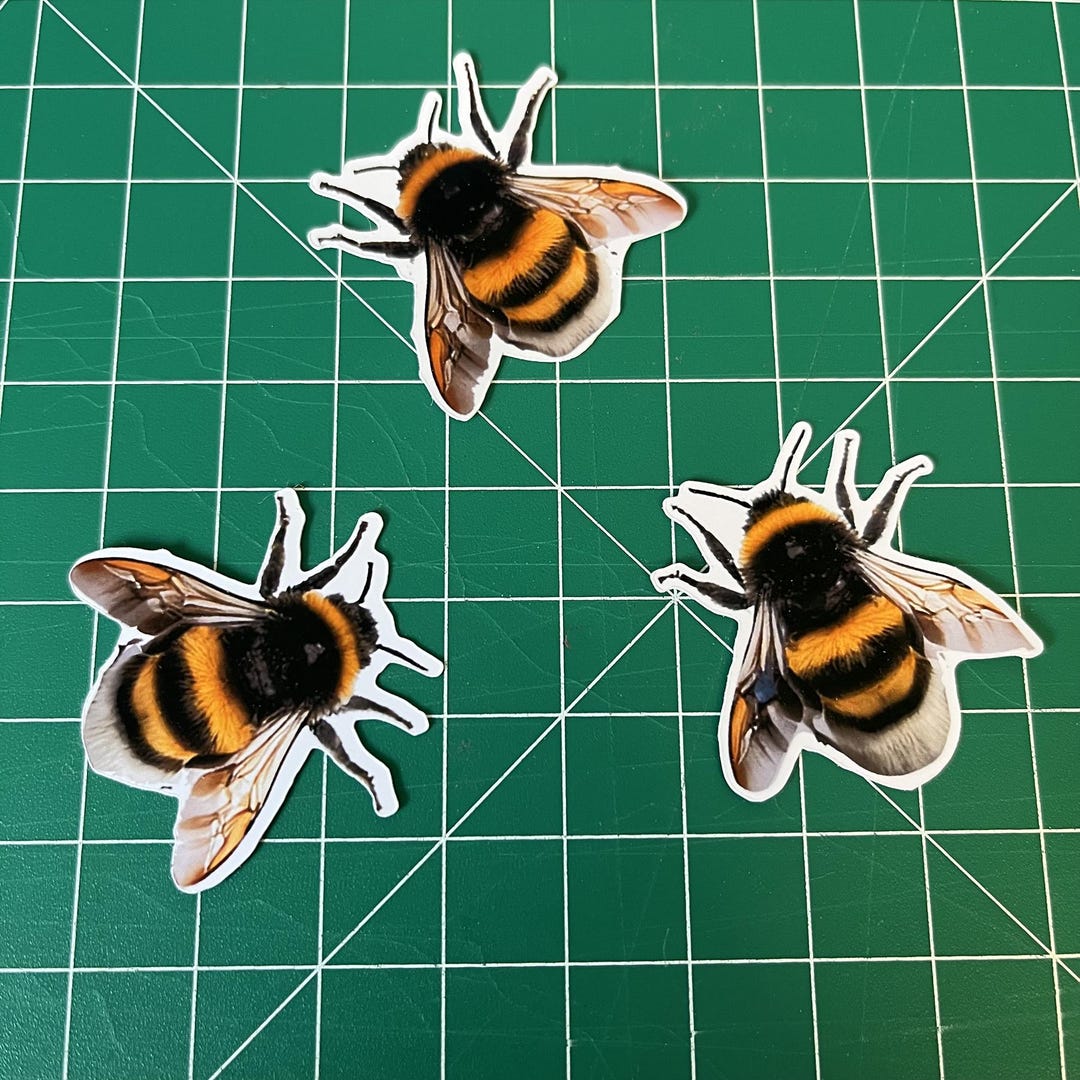 Realistic Honey Bee Vinyl Stickers for Laptops, Notebooks, Water ...