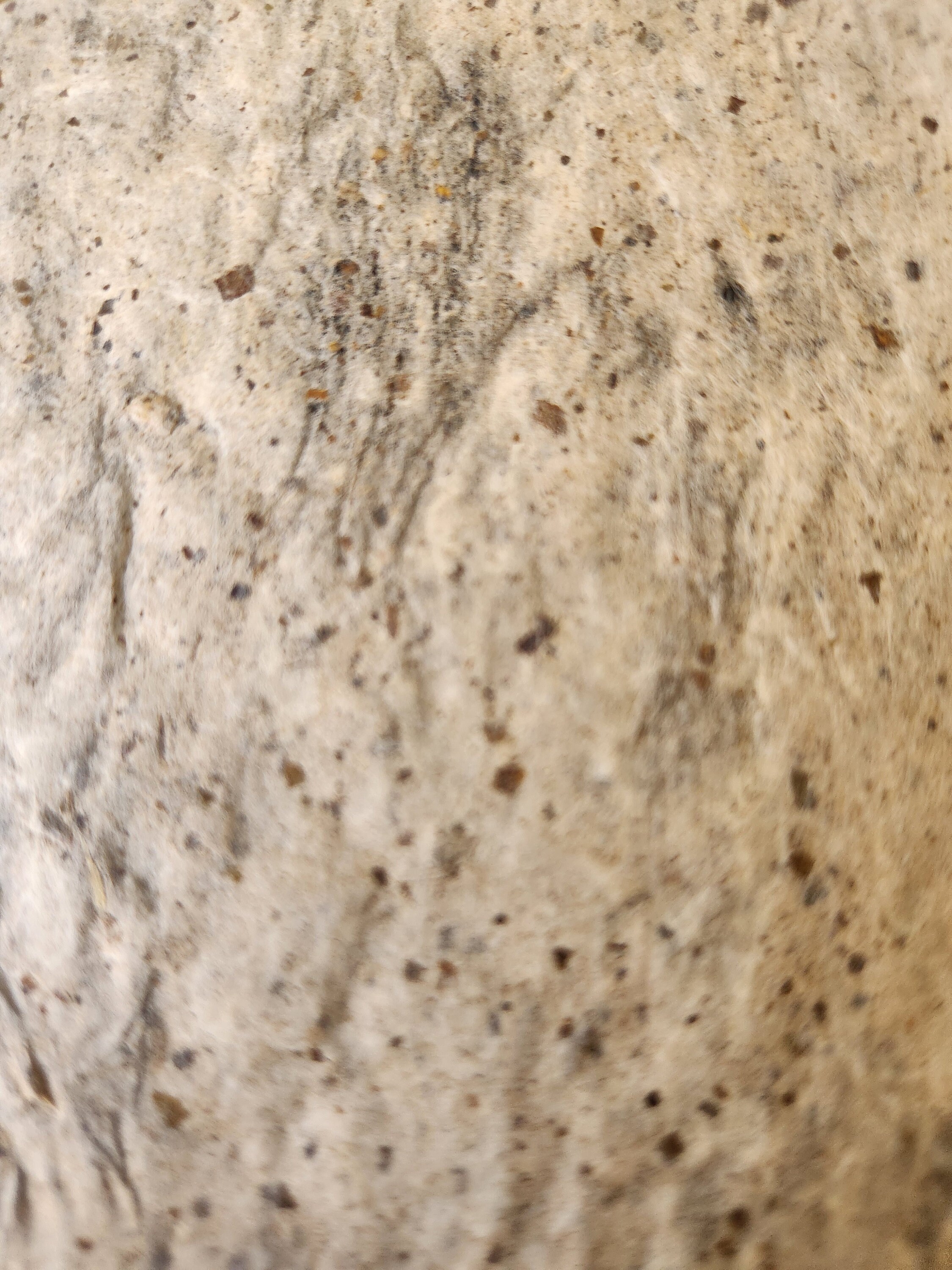 Handmade Mulberry Paper - Etsy