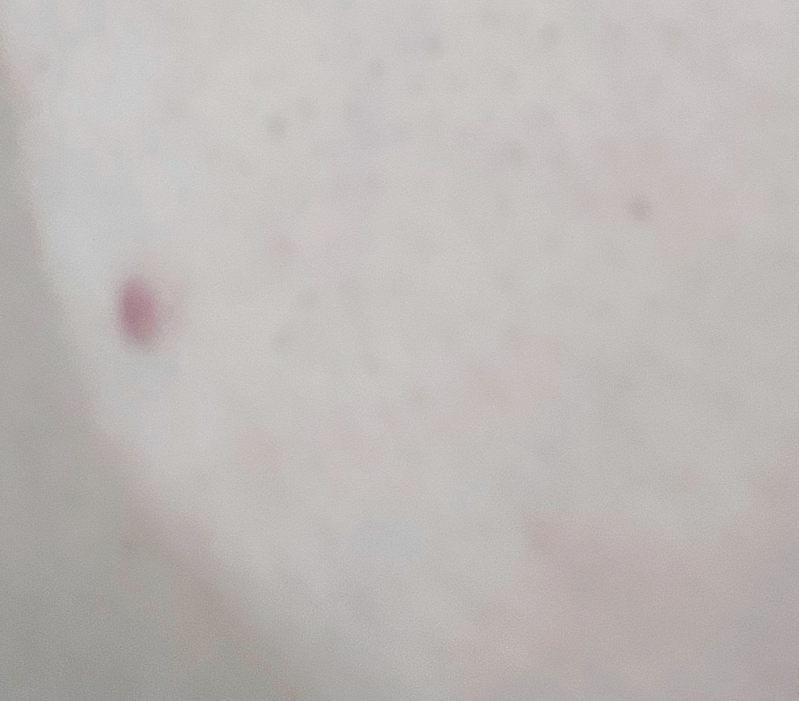 Frankincense and Myrrh Whipped Body Butter Spring/summer Line- Handmade, Gift, Him - Etsy