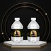 Wicked Birthday Mini Water Bottle Label | Wicked Water Bottle Template ...
