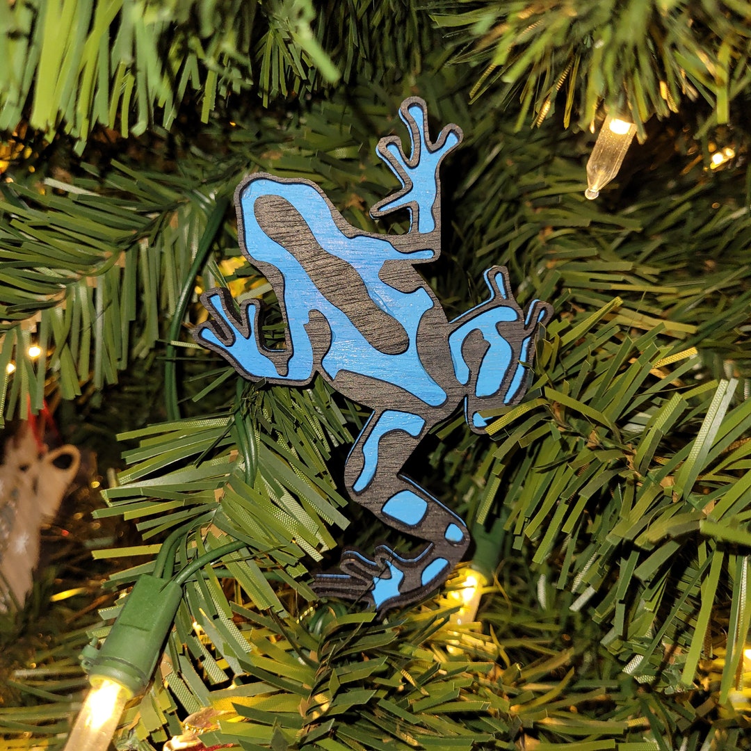 Hand Painted Dart Frog Magnet| Frog Gifts| Handmade Frog Gift| Frog ...