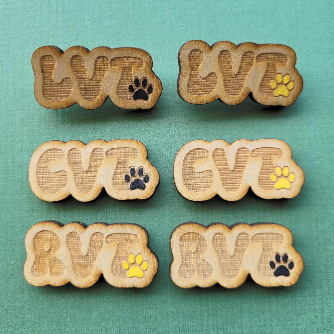 RVT LVT CVT Pin| Veterinary Gift| Vet Tech Gift| Vet Medicine| Vet Tech ...