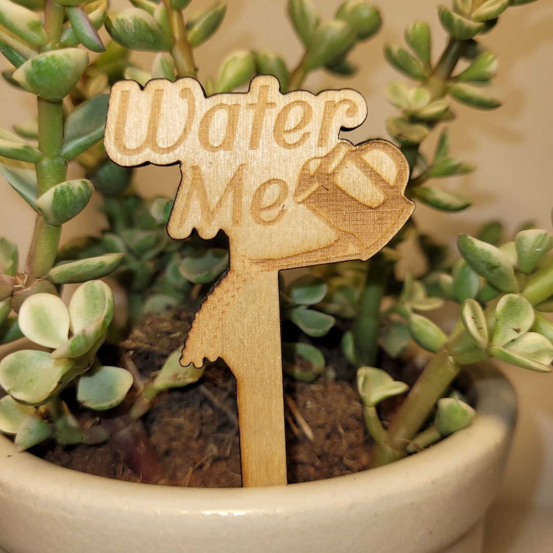Water Me Plant Stake - Etsy