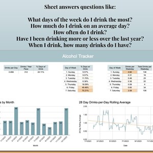 Drink Tracker Spreadsheet Template | Google Sheets Alcohol Log ...