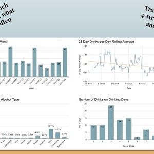 365 Day Alcohol Tracker Spreadsheet: Personal Wellness (google Sheets ...