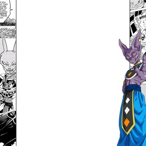 Beerus Custom Frames - Etsy