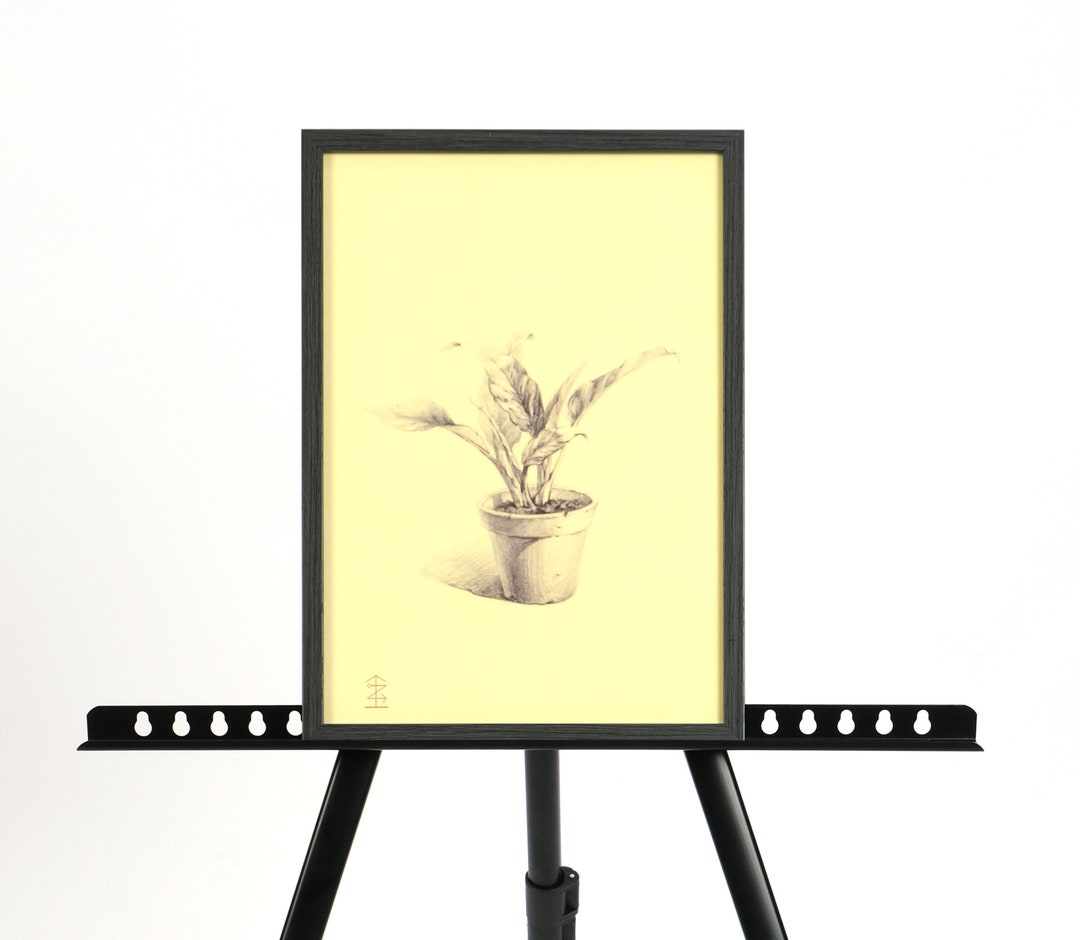 Original Pencil Art Drawing A Pot Plant as a Symbol of Life and ...