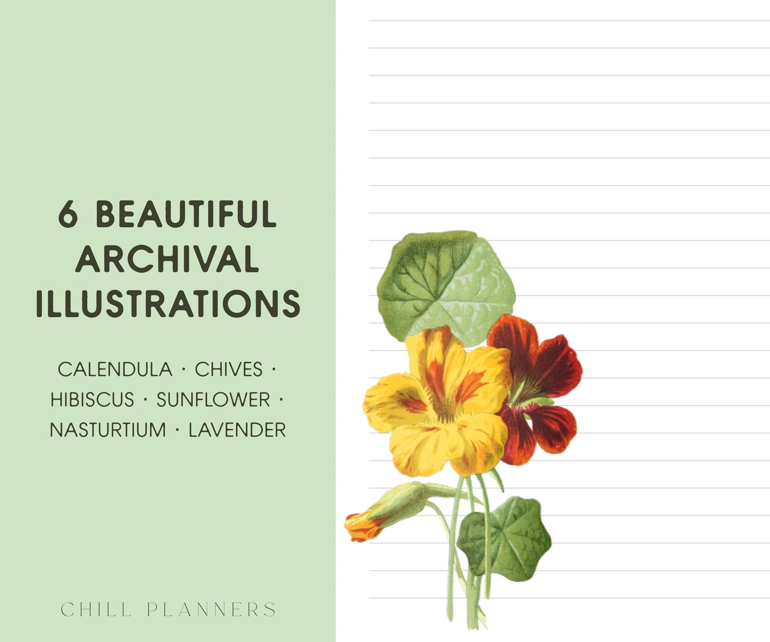 Printable Floral Stationery Set, Printable Writing Paper, Letter ...