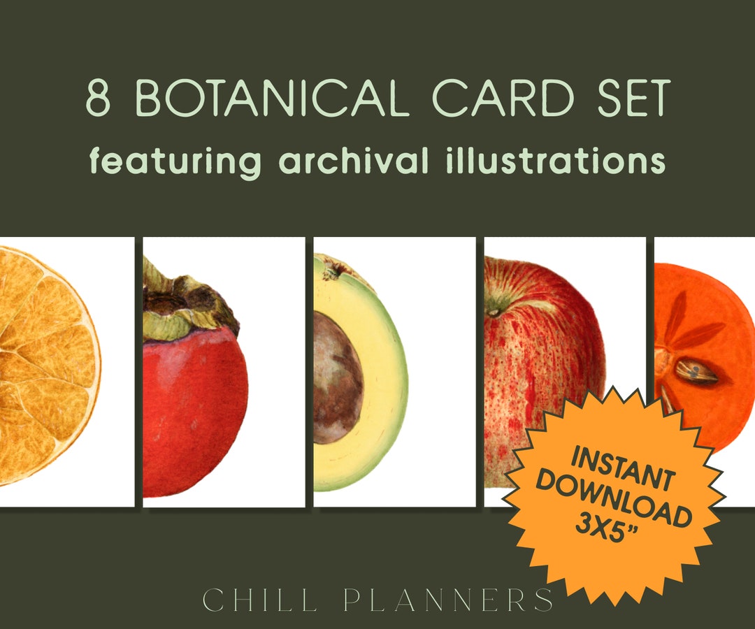 Botanical Fruit Illustration Card Set: Elegant Vintage Blank Note Cards ...