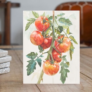 Tomatoes - Etsy