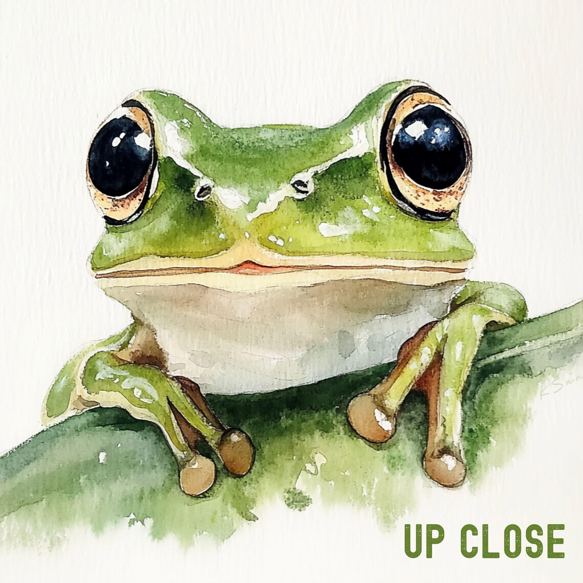 Little Explorer – Frog in the Wild Sticker – Laptop Sticker, Water ...