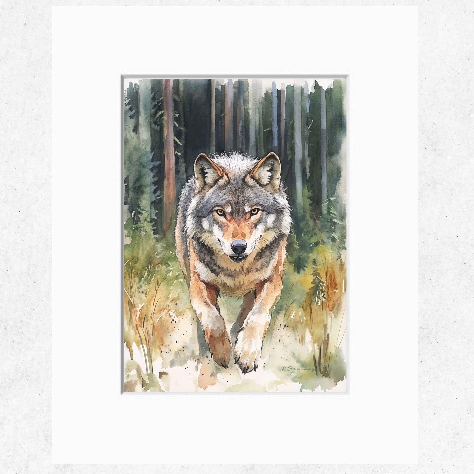 He Alpha’s Gaze, Fierce and Free Wolf - Forest Woodand Nature ...
