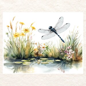 Dragonfly Over Pond, Watercolor Pond Insect Sticker, Wildflowers and ...