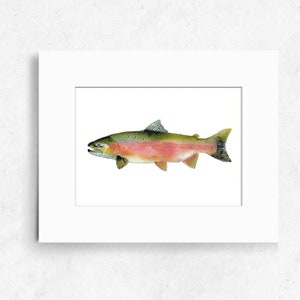 Pink Salmon Art Print, Dynamic Fish Illustration, High Quality Art ...