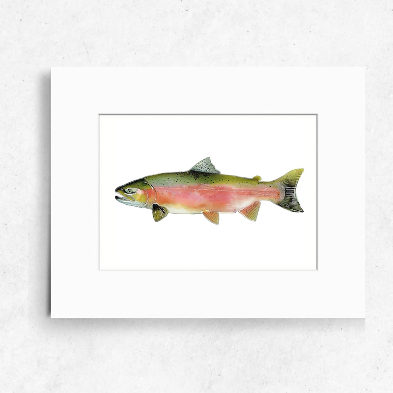 Salmon Art - Etsy