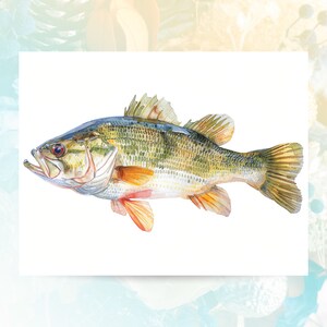 Bass Watercolor Greeting Card, Freshwater Fish Art, Angler Gift, Note ...