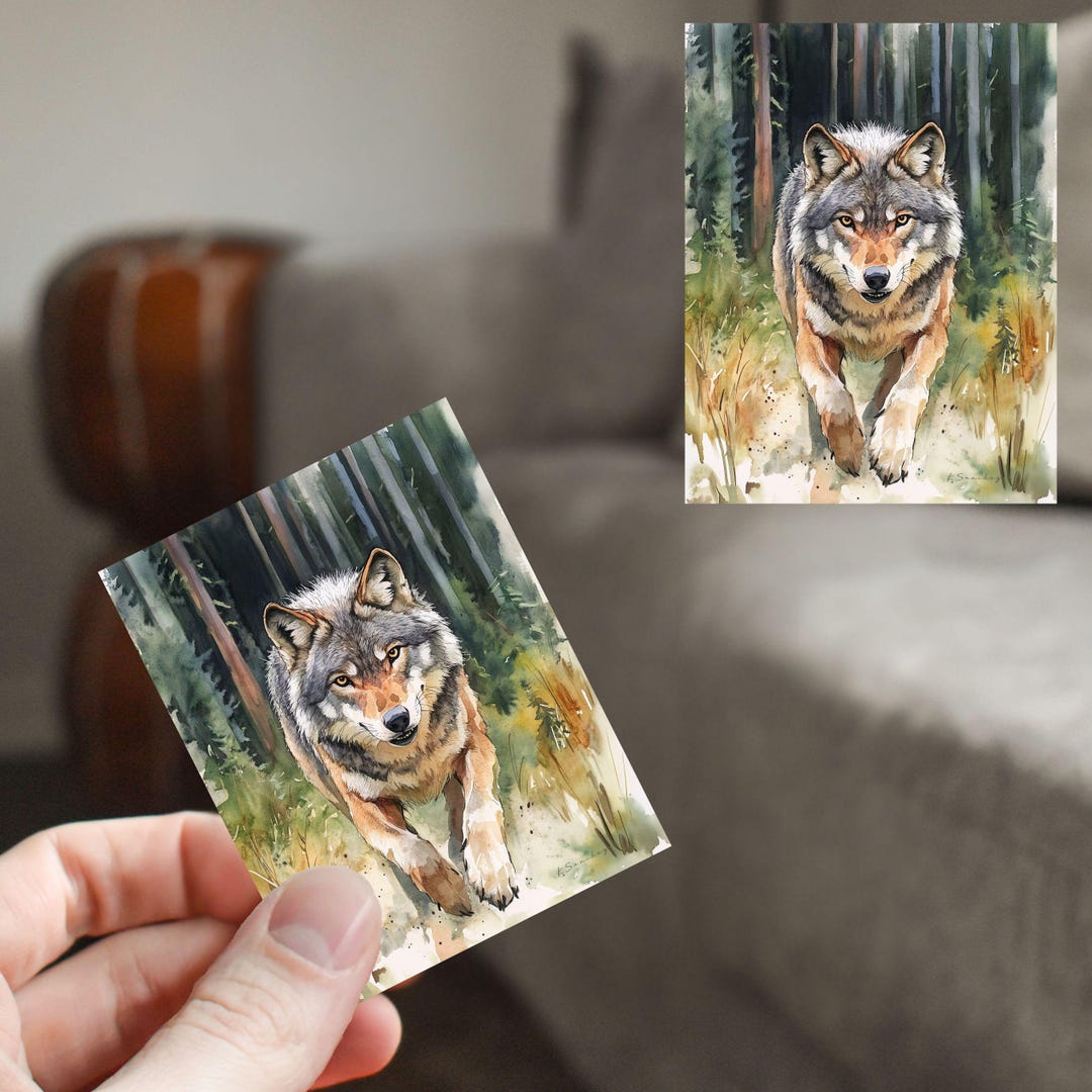 The Alpha’s Gaze, Fierce and Free Wolf – Forest, Woodland, Nature ...