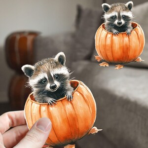 Cute Raccoon in Pumpkin Sticker, Fall Animal Art, Adorable Autumn ...