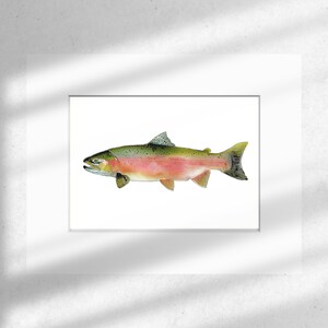 Pink Salmon Art Print, Dynamic Fish Illustration, High Quality Art ...