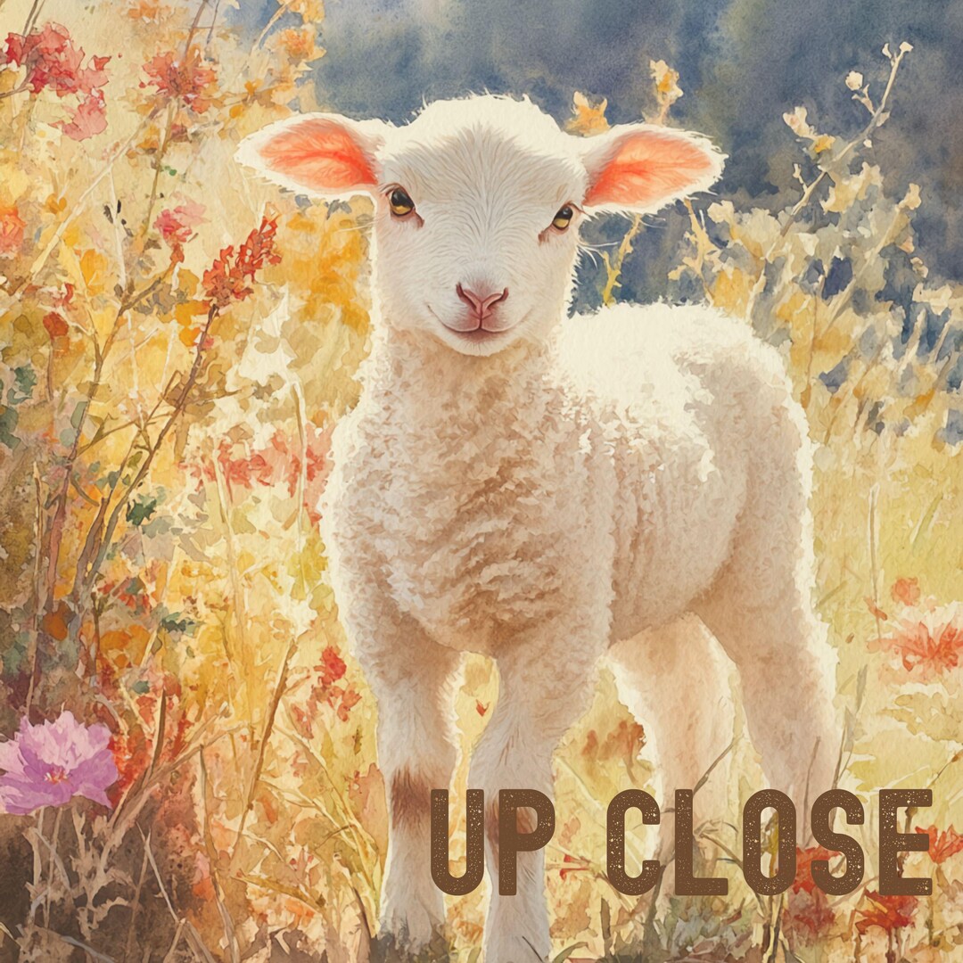 Farm Lamb Art Print, Spring Lamb Pasture, Pastel Farm Animals, Rustic ...