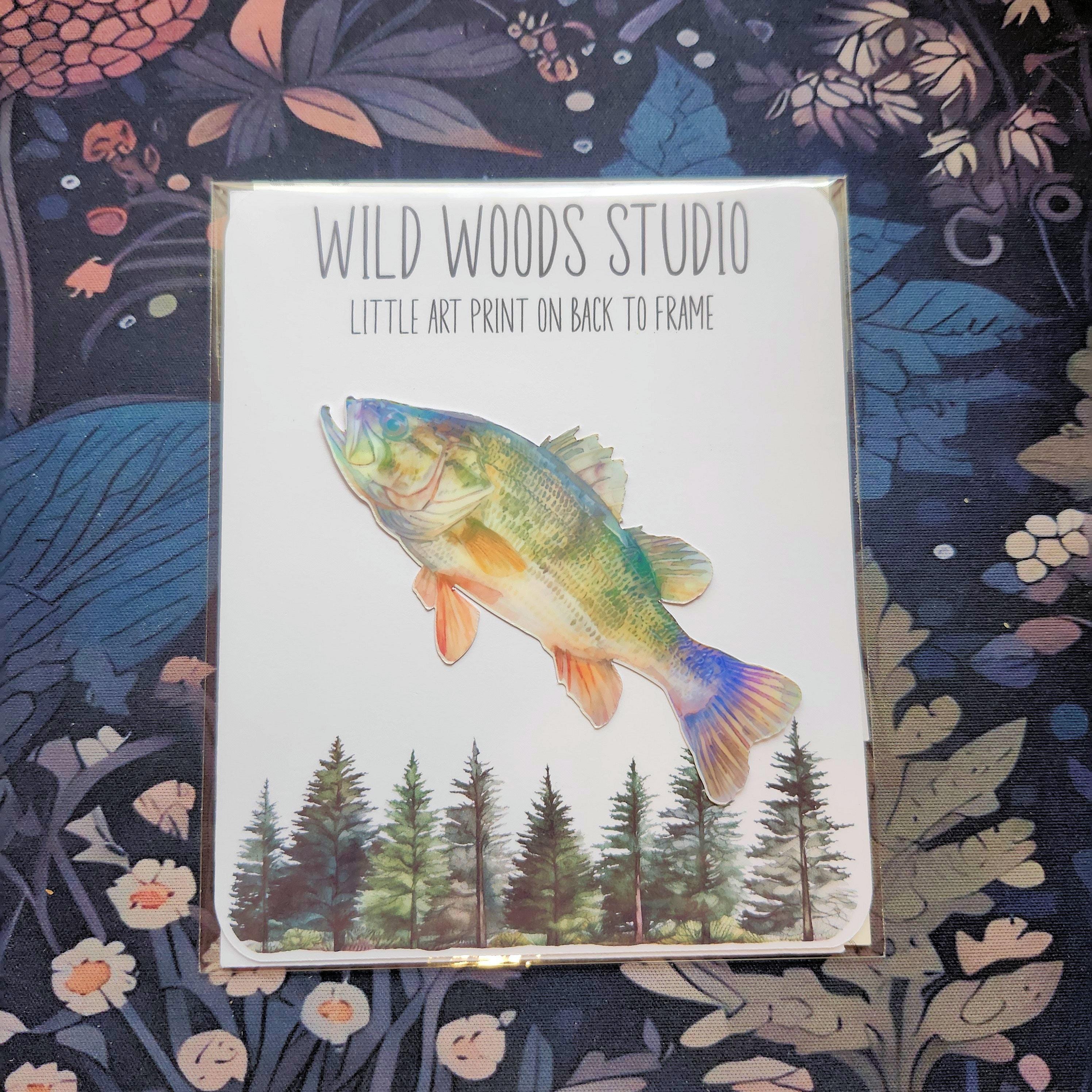 Freshwater Fish Vinyl Stickers, Weatherproof Stickers, Bright Colored ...