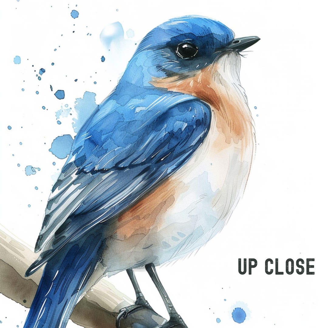 Watercolor Bluebird Portrait, Bird Art, Nature Wall Print, Wildlife ...