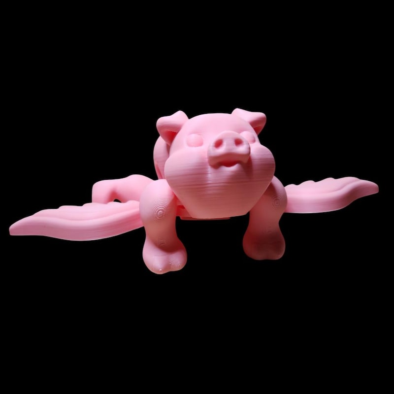 Flying Pig - Etsy