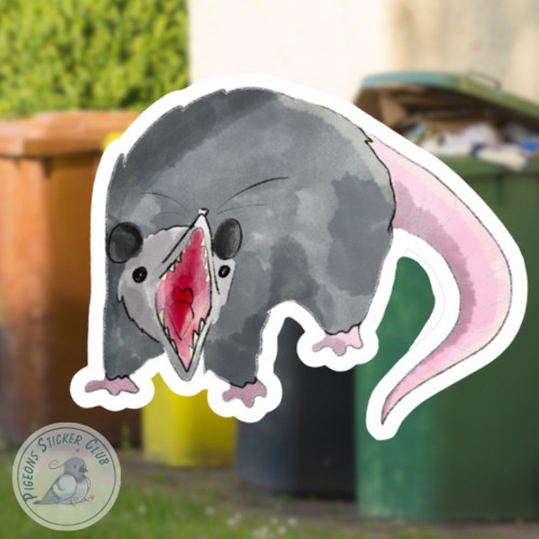 Cute Funny Opossum Hand Drawn Sticker Vinyl Decals Laptop Water Bottle ...
