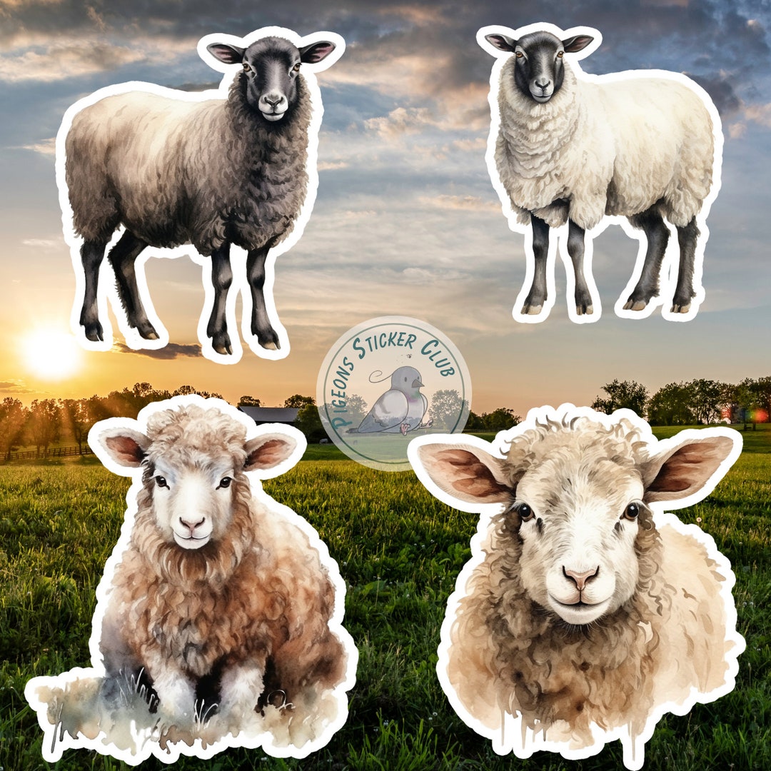 Cute Fluffy Sheep Sticker Pack Vinyl Decals Laptop Water Bottle Journal ...