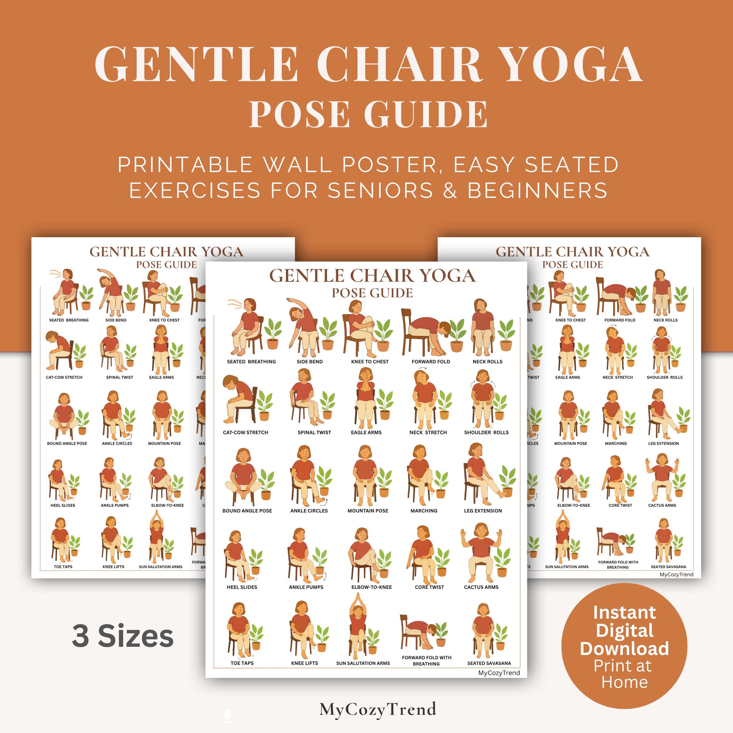 Gentle Chair Yoga Pose Guide – Printable Wall Poster | Easy Seated ...