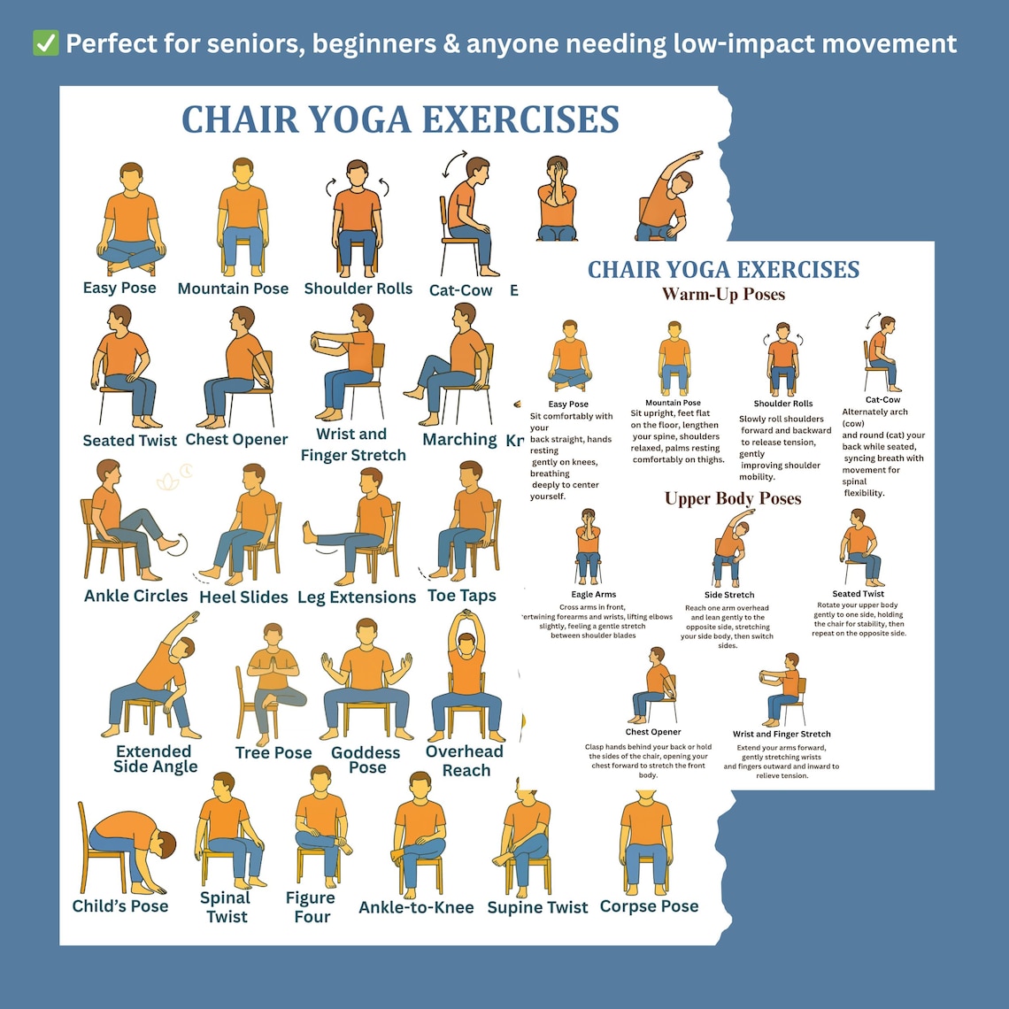 Chair Exercises for Seniors – Gentle Seated Workout, Printable Routine ...