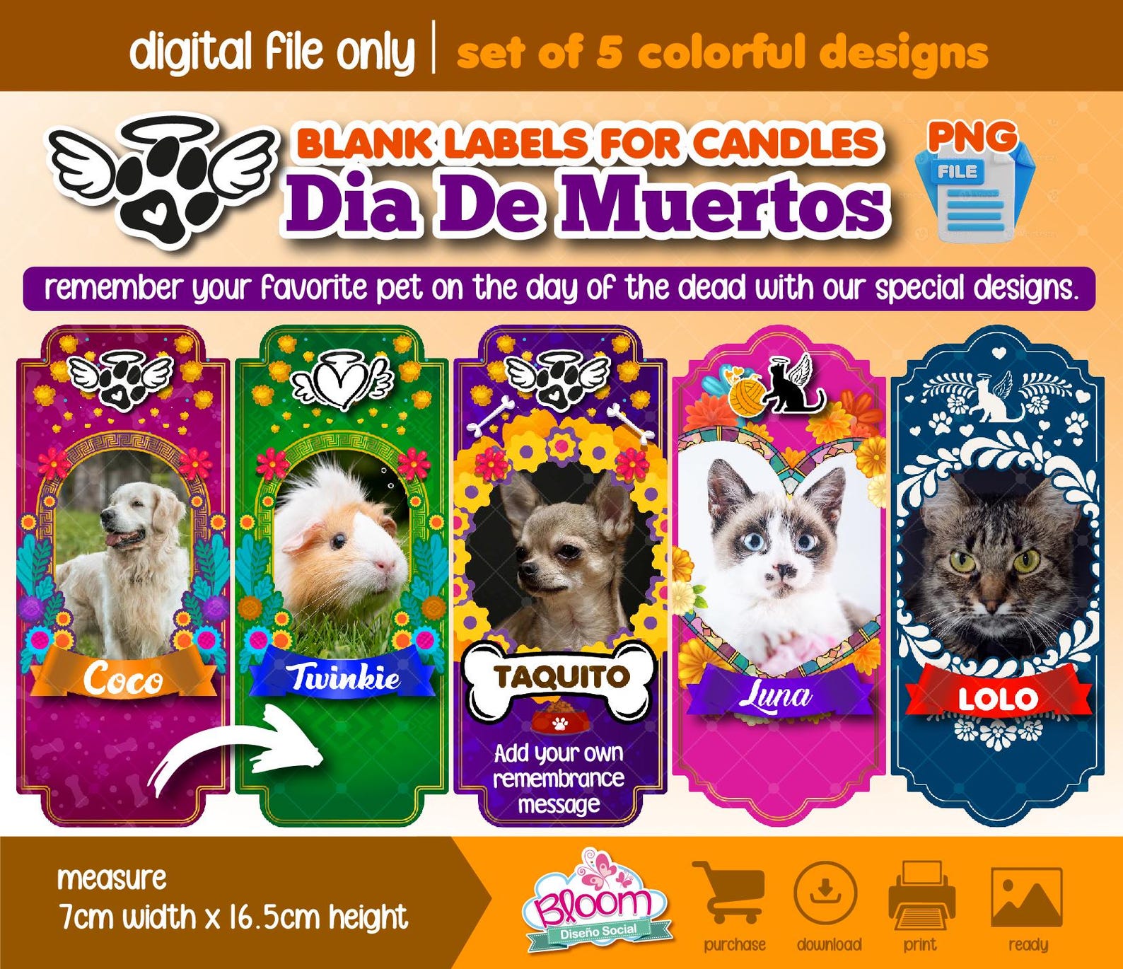 PNG Clipart Day of the Dead Label for Pets Blank Filled - Etsy