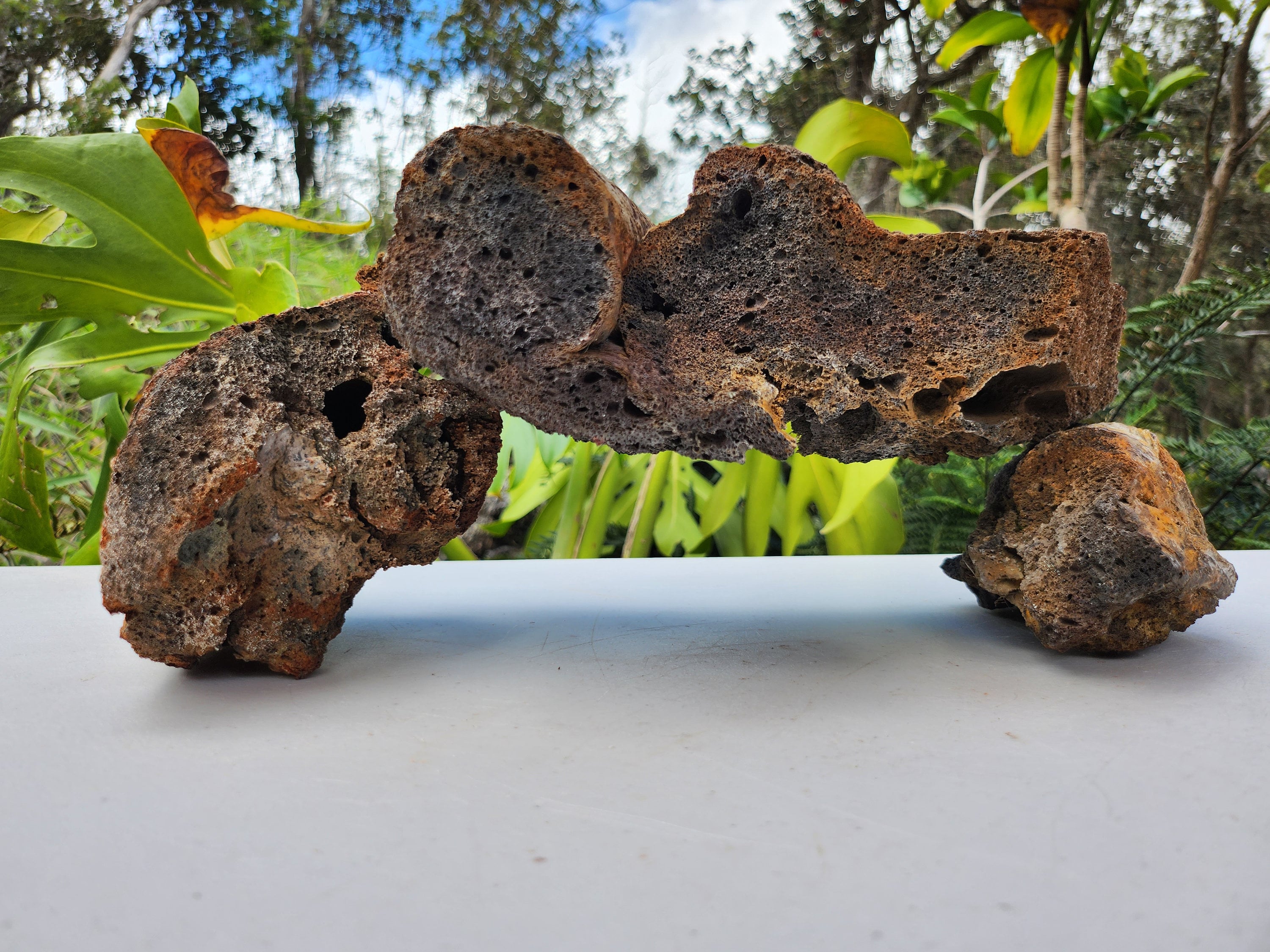 Red Hawaiian Lava Rock Aquarium Terrarium Reptile Fish Turtle Natural ...